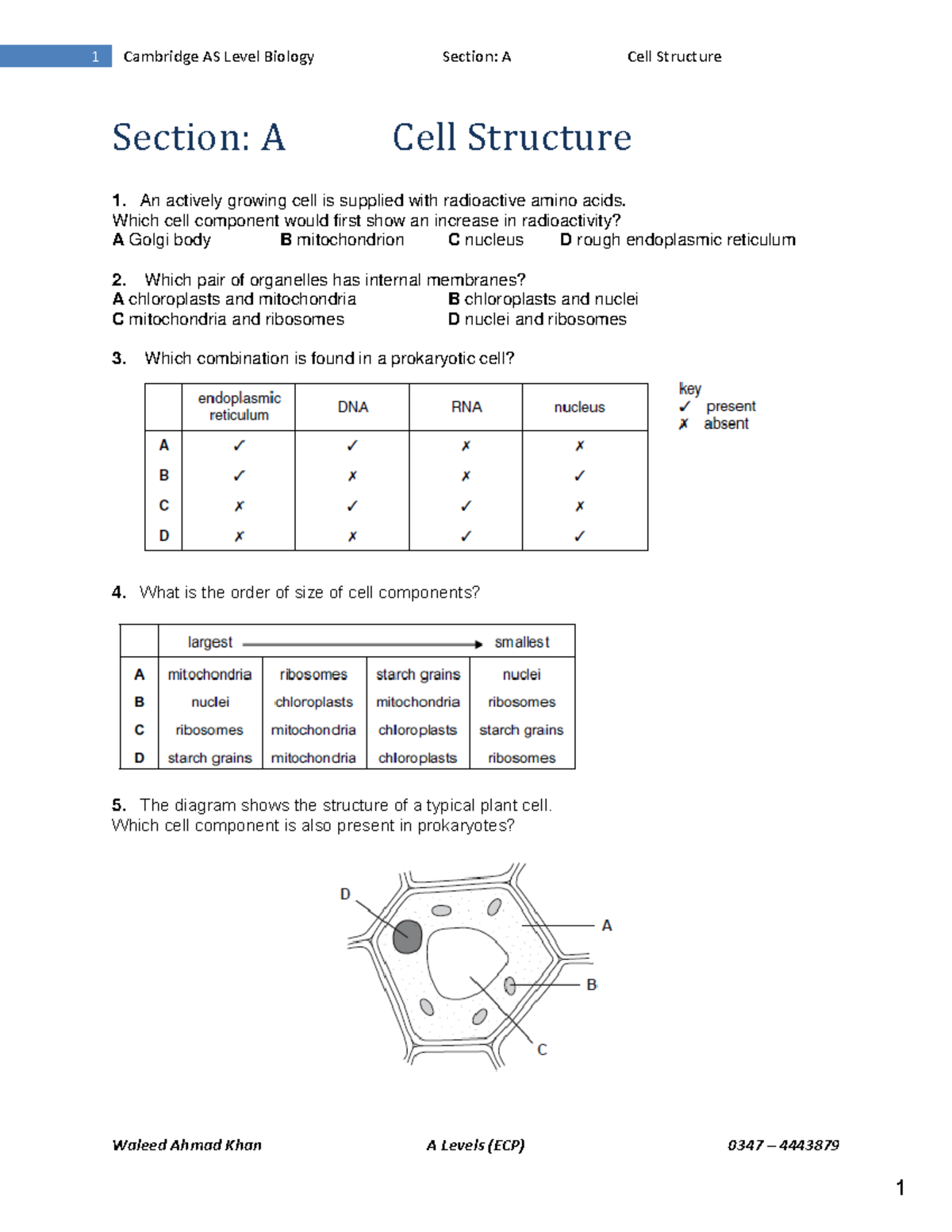 Biology AS A Levels Quiz Notes (3347) - Comprehensive Cell Structure ...