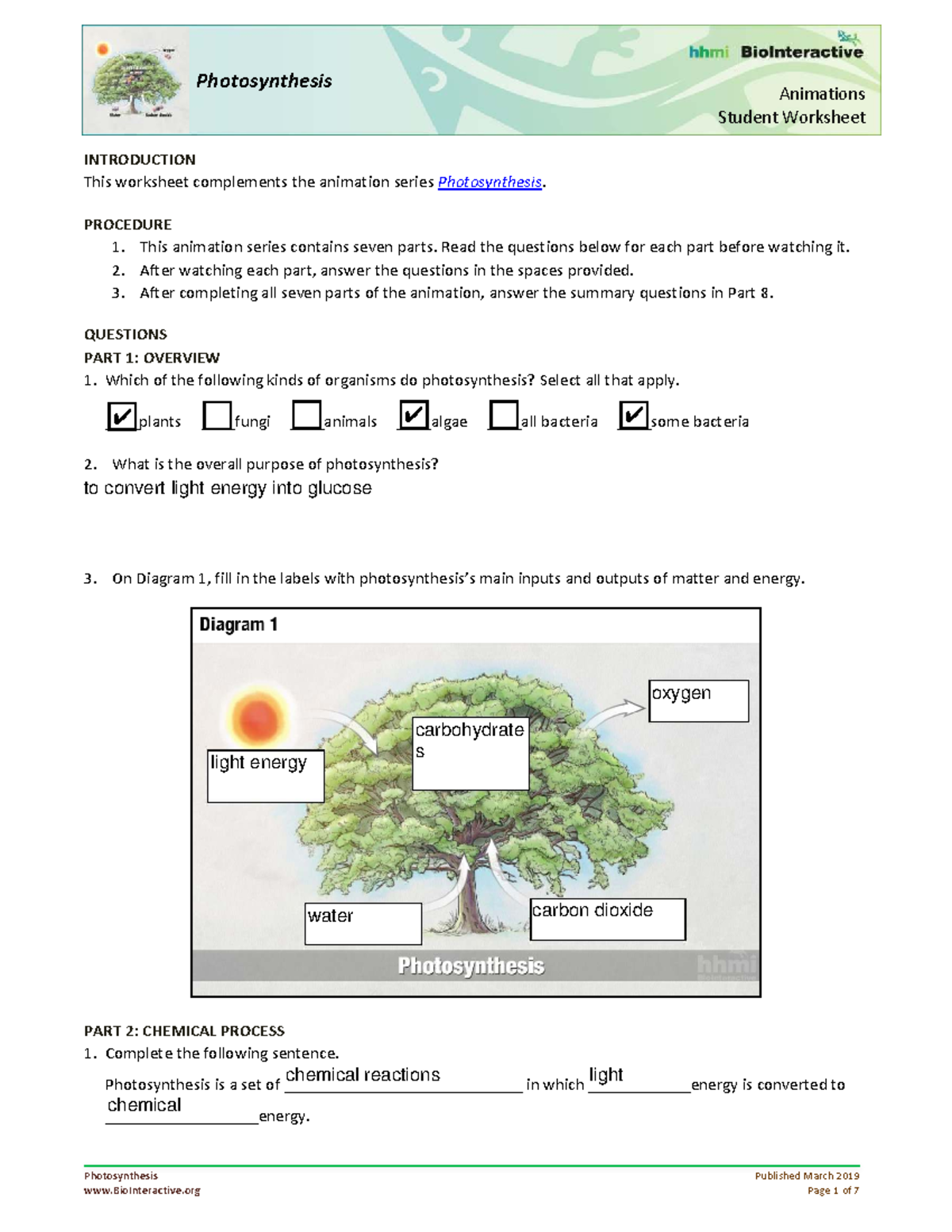 Photosynthesis Student Worksheet: Animation Series Guide - Studocu