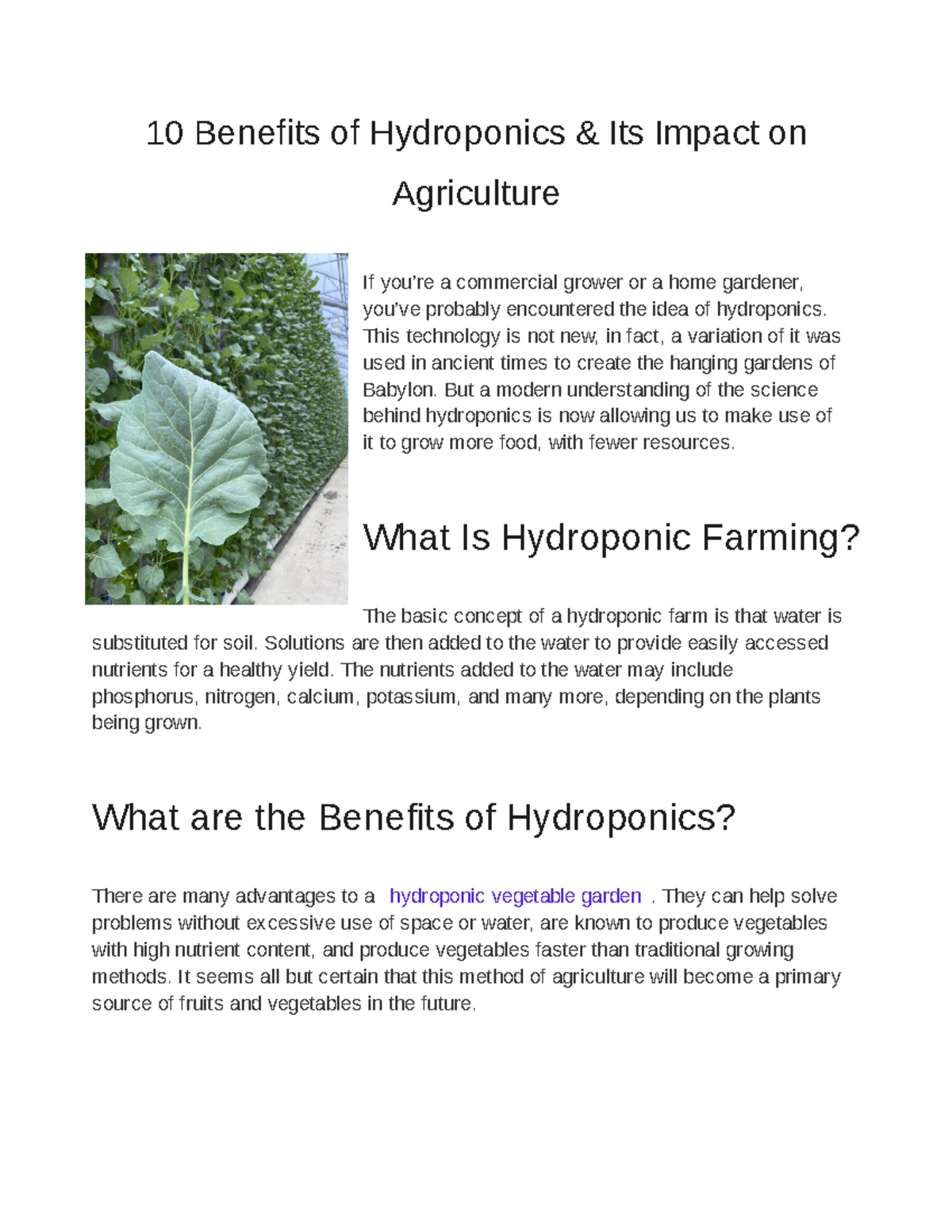 10 Benefits of Hydroponics & Its Impact on Agriculture - Google Docs ...