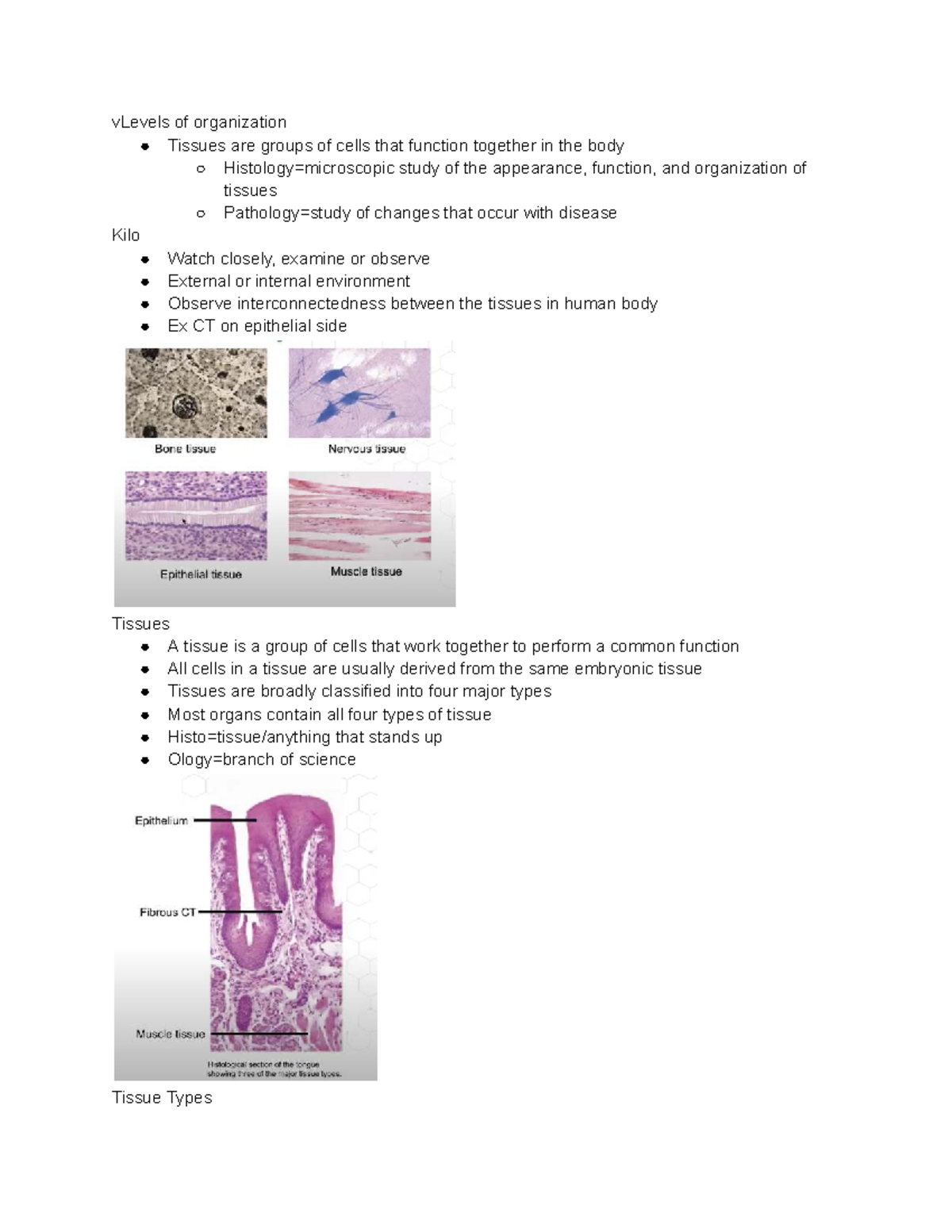 Epithelial Tissue Characteristics and Classification - BIO101 - Studocu