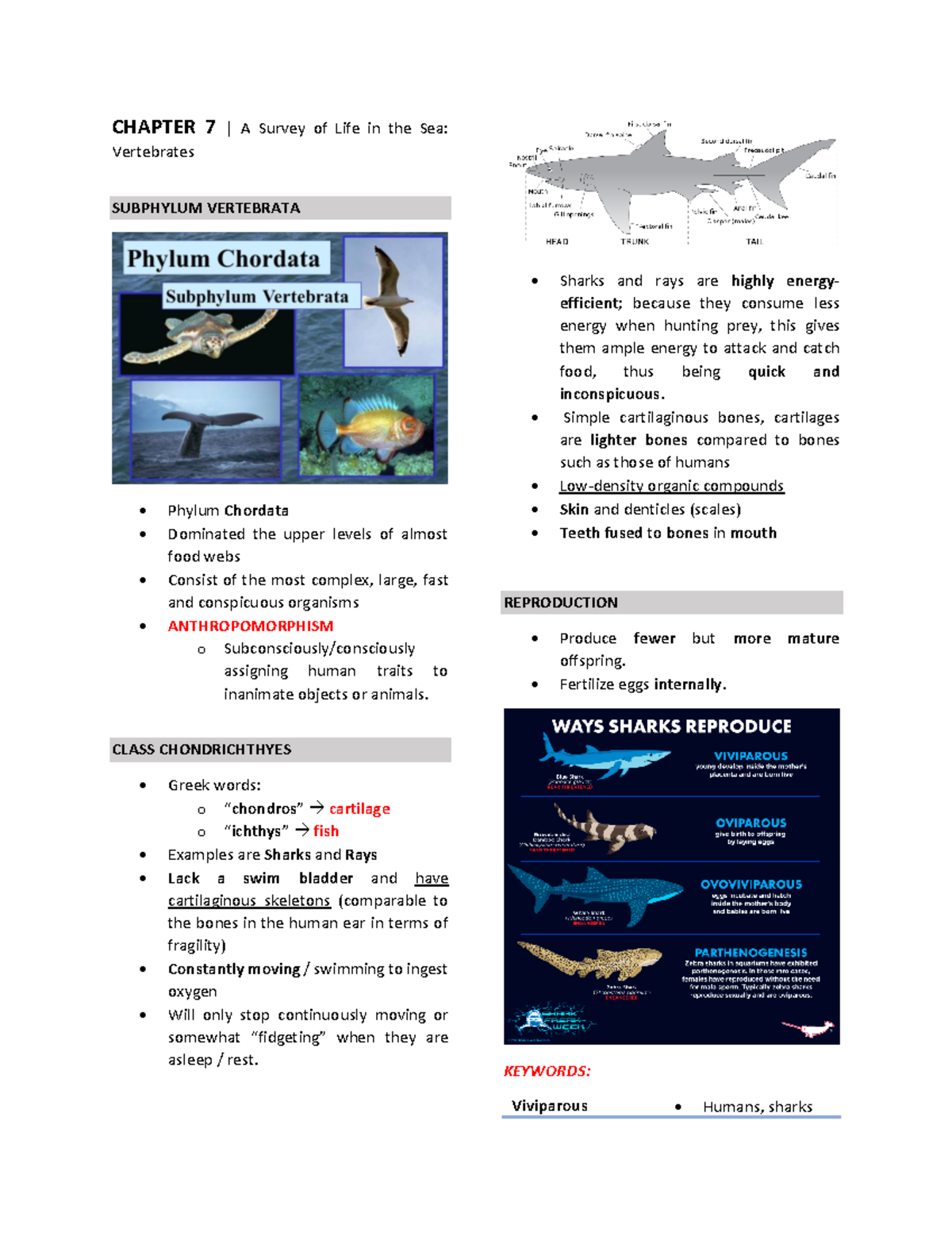 BIO 35 Unit 2 Chapter 7: Overview of Marine Vertebrates and Their ...