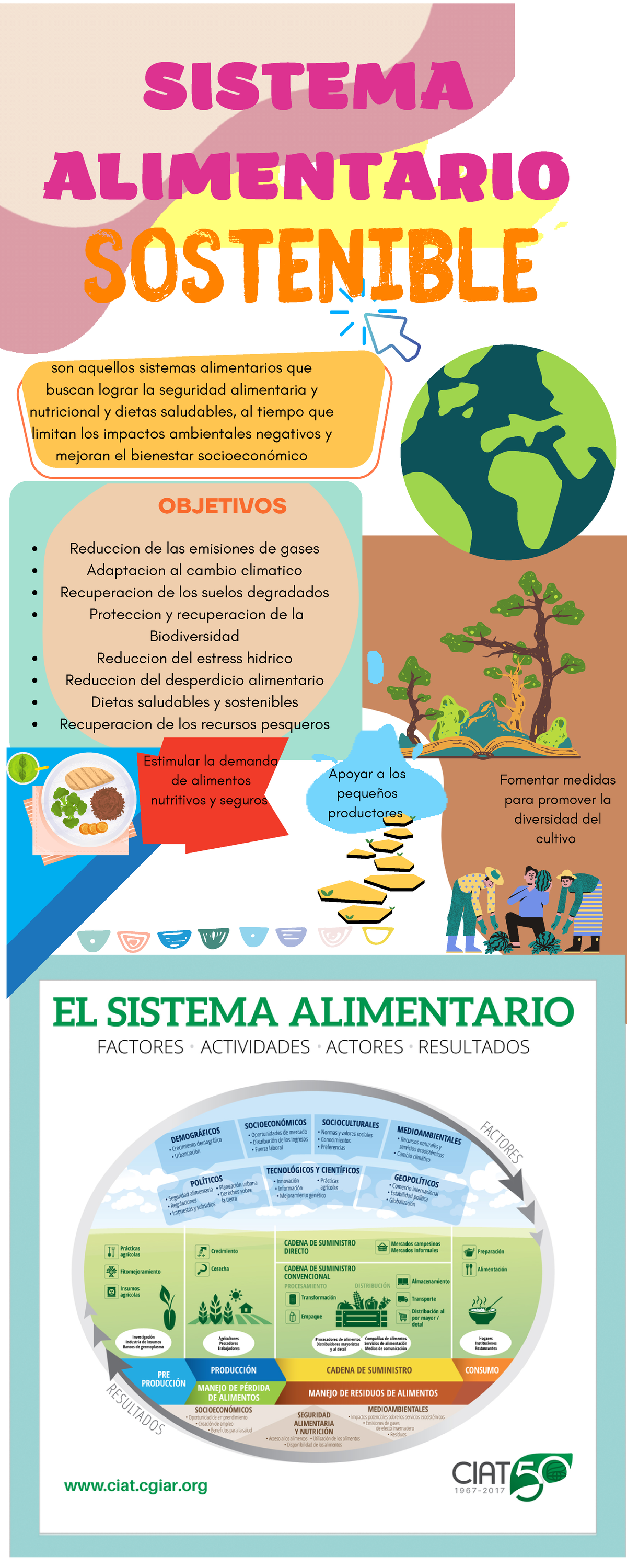 Componentes Del Sistema Alimentario