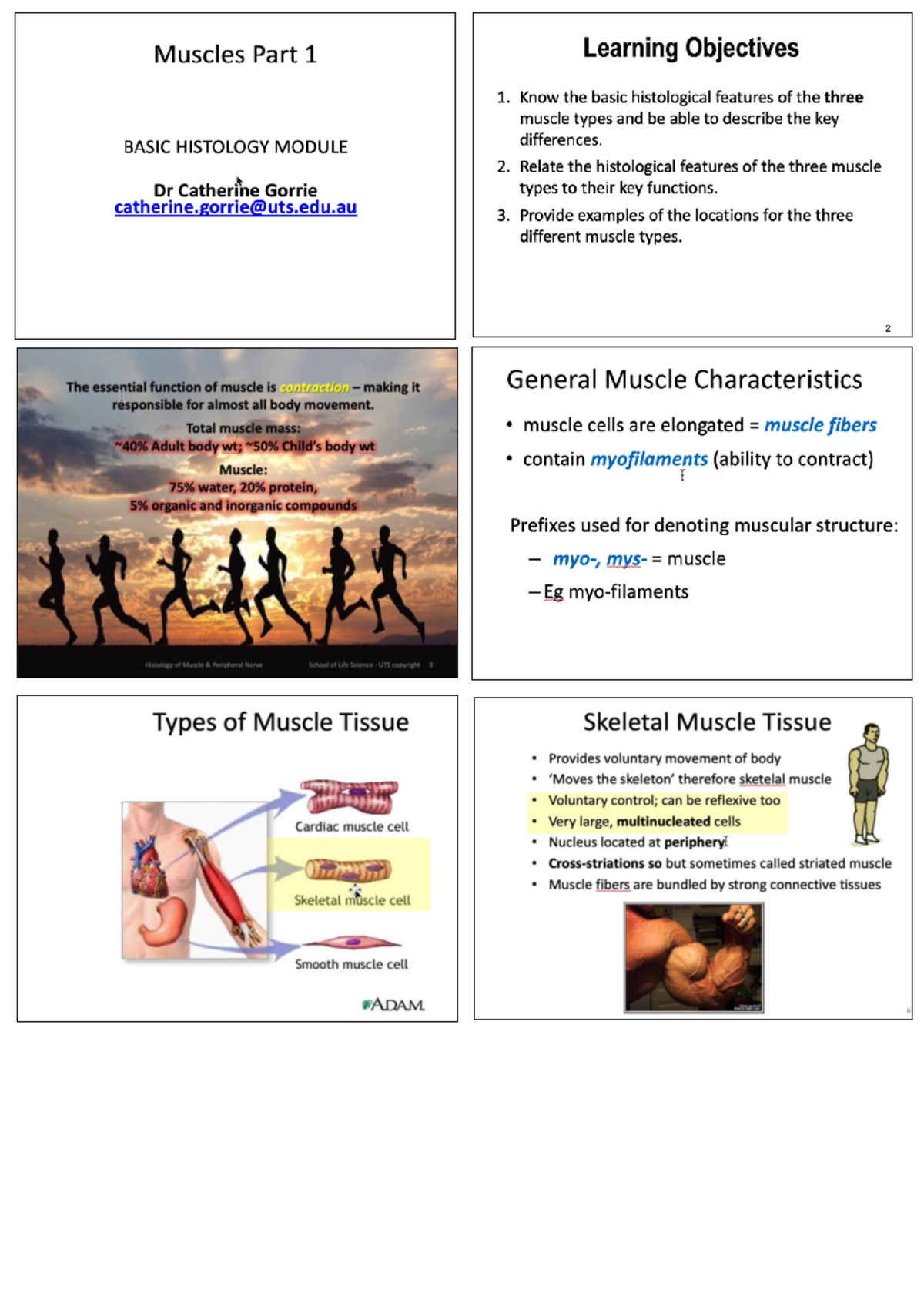 Muscle - Lecture notes 1 - Muscles Part 1 BASIC HISTOLOGY MODULE Dr ...