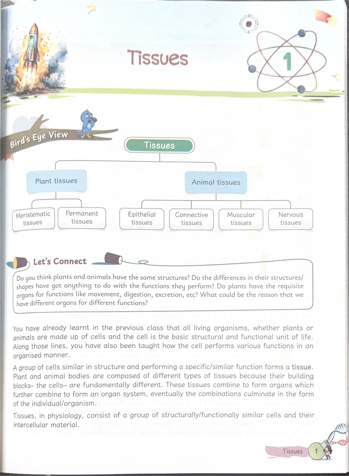 ICSE Class 7 Biology: Chapter 1 - Tissues in Plants and Animals - Studocu