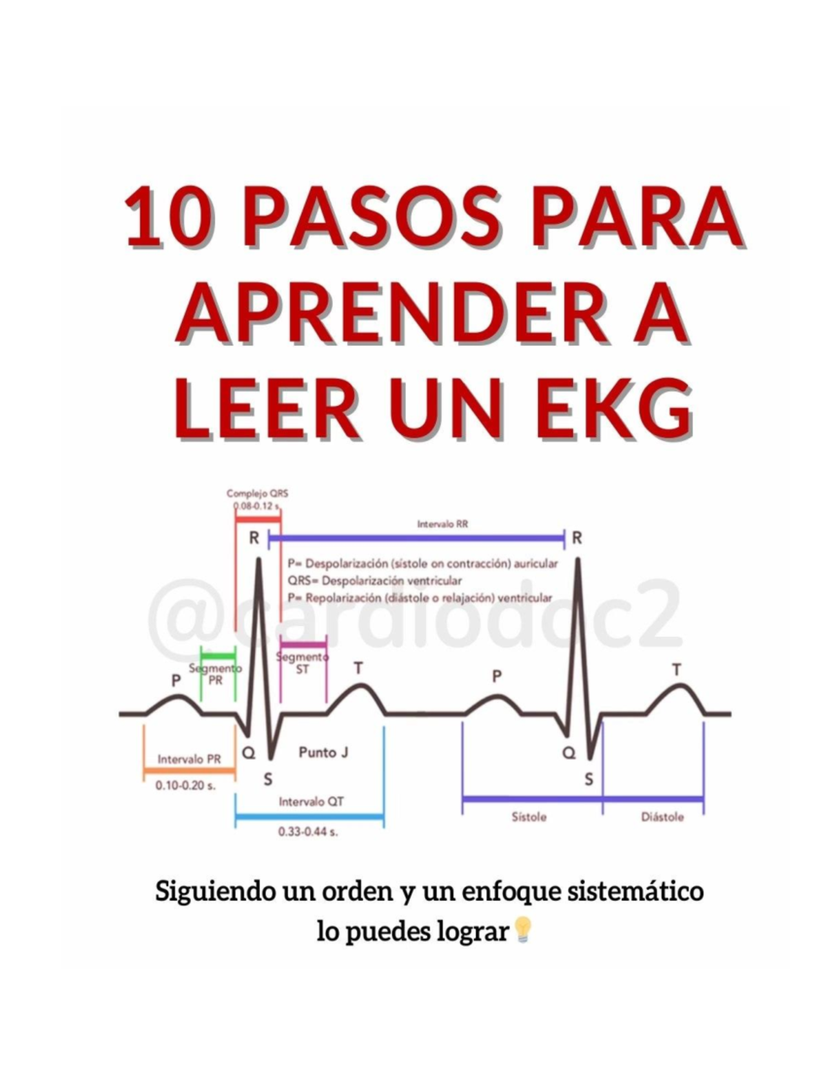 Lectura de EKG: 10 Pasos para Interpretar el Electrocardiograma - Studocu