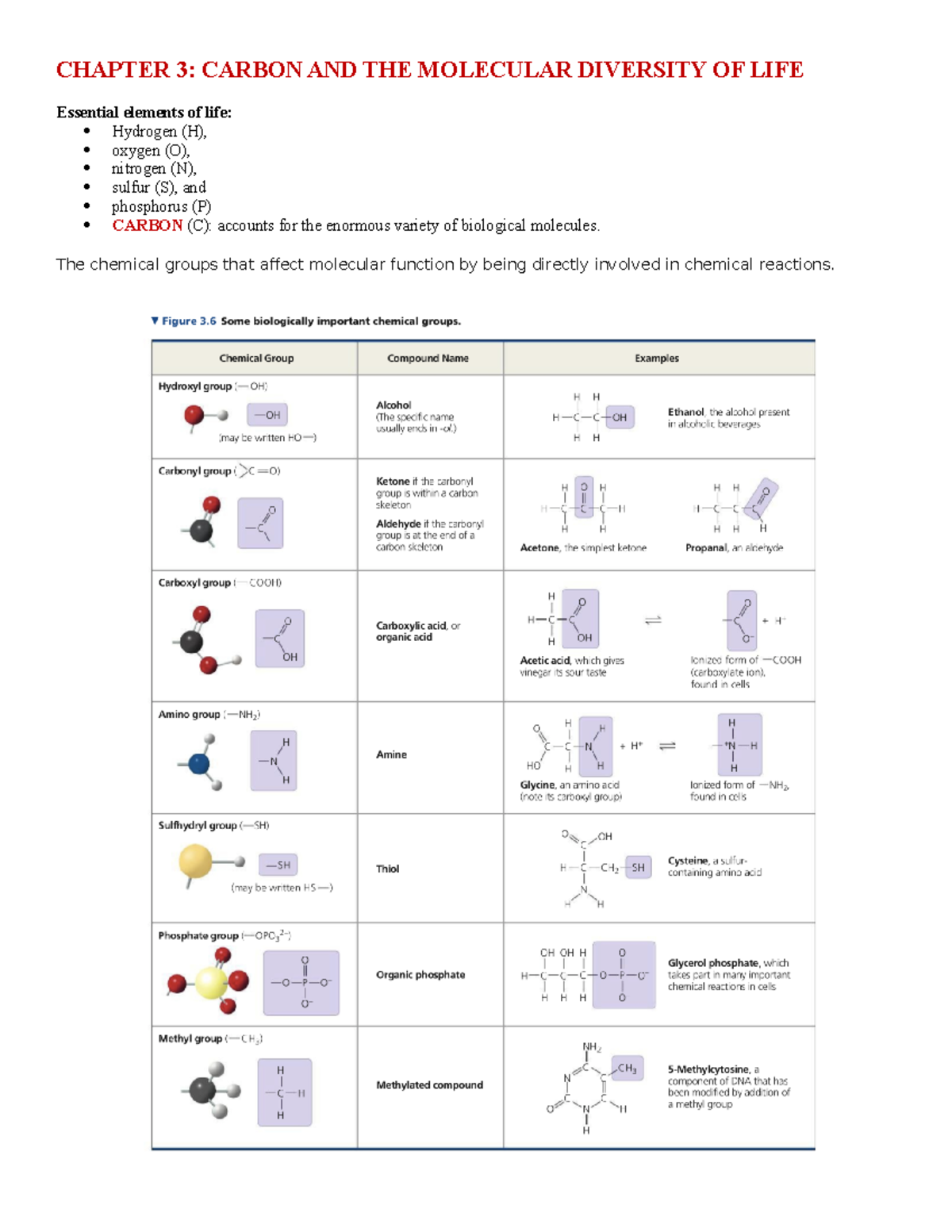 Chapter 3 - Macromolecules - CHAPTER 3: CARBON AND THE MOLECULAR ...