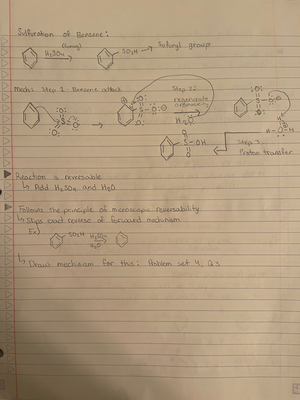 Ochem+II+Problem+Set+1+Answers - 1 Problem Set 1 1. Predict the major ...