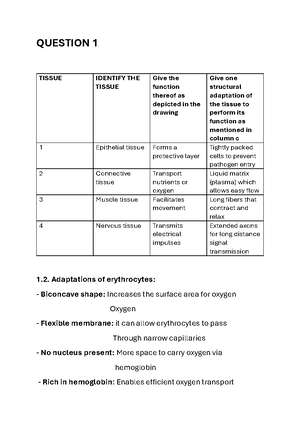 [Solved] Provide reallife examples of inappropriate AI use600 words ...