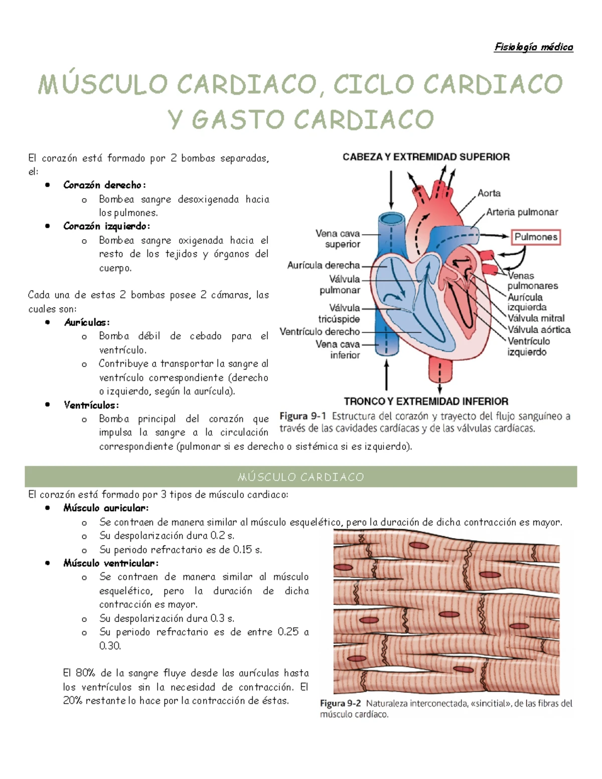 Músculo cardiaco, ciclo cardiaco y gasto cardiaco (fisiología médica ...