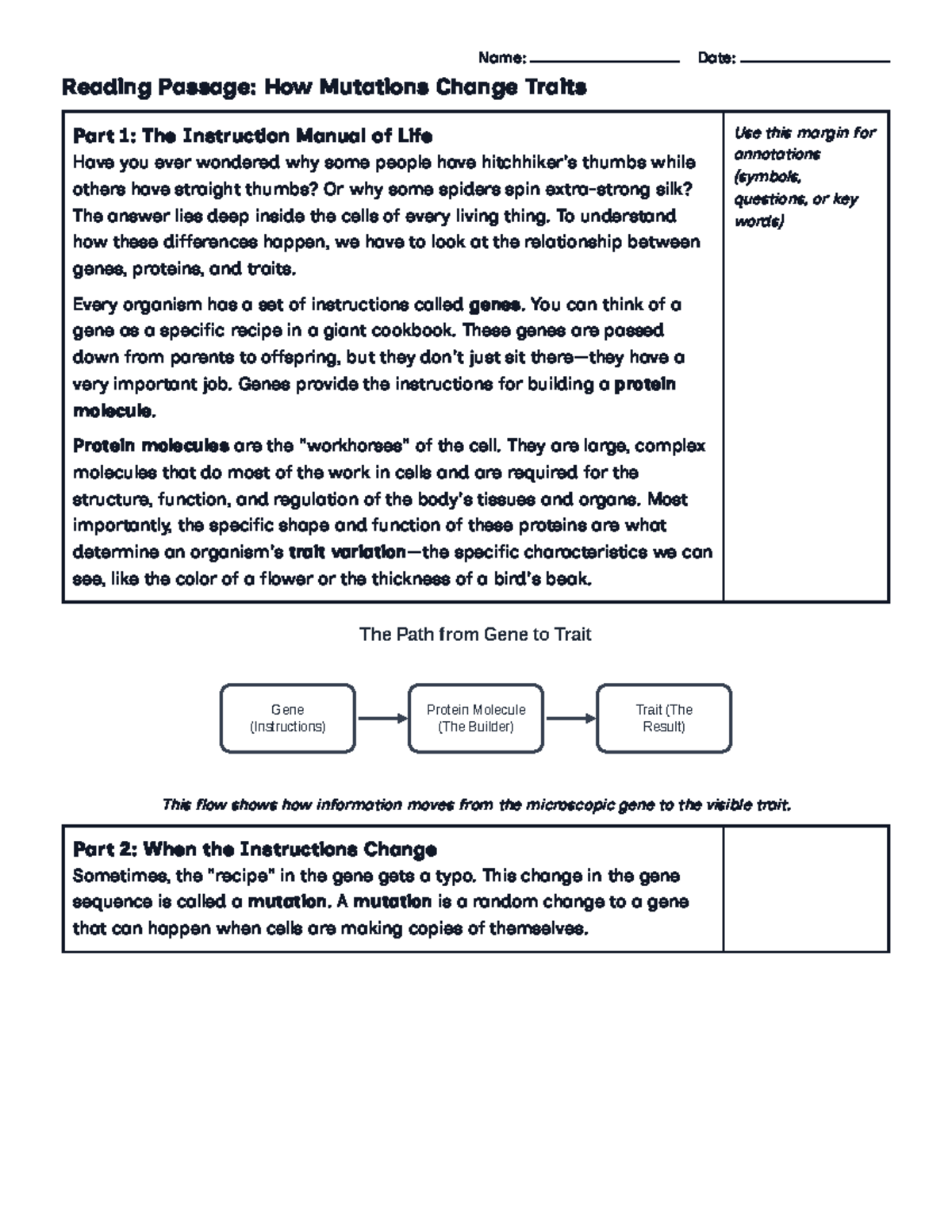 How Mutations Change Traits: Reading Passage - Studocu