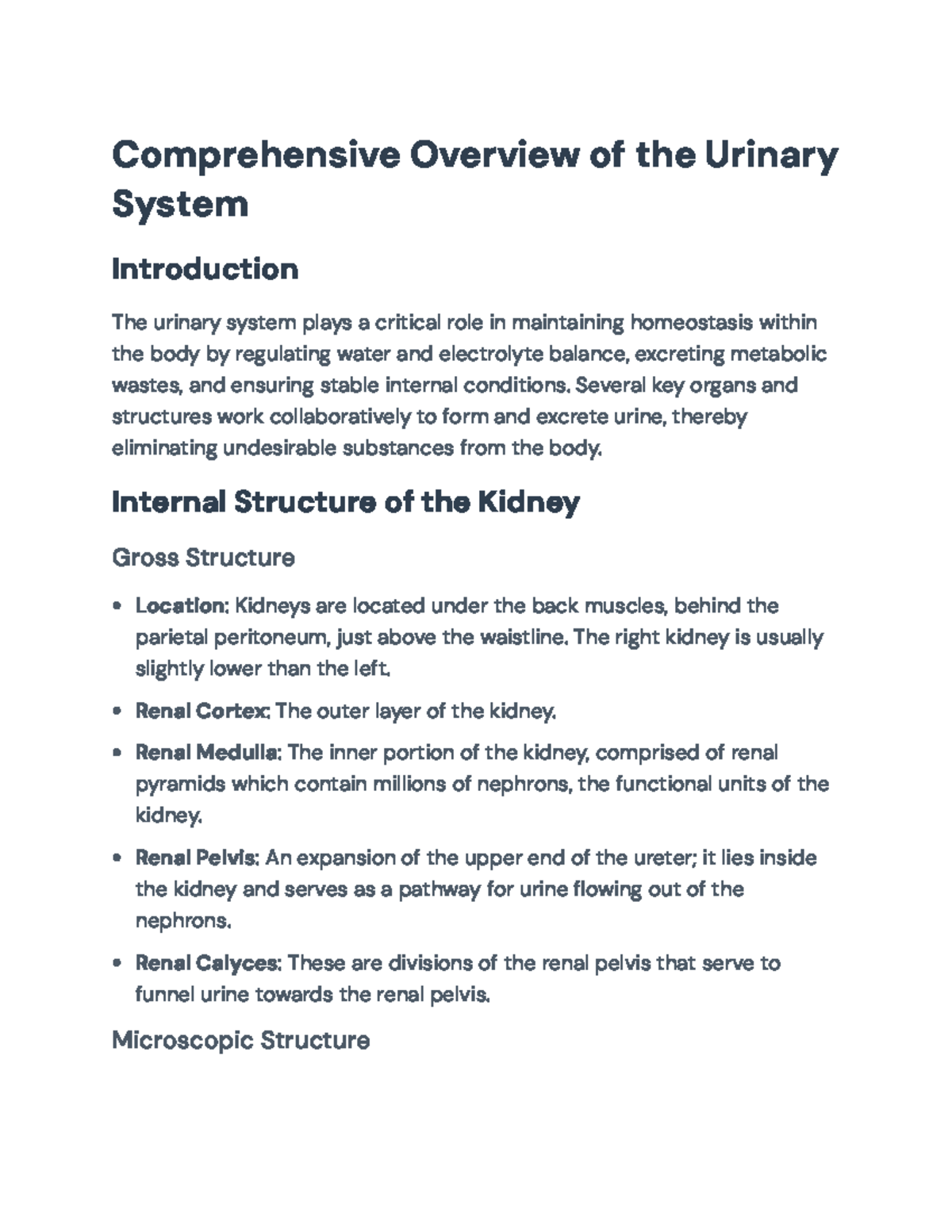 Comprehensive Overview of the Urinary System: Structure & Function ...