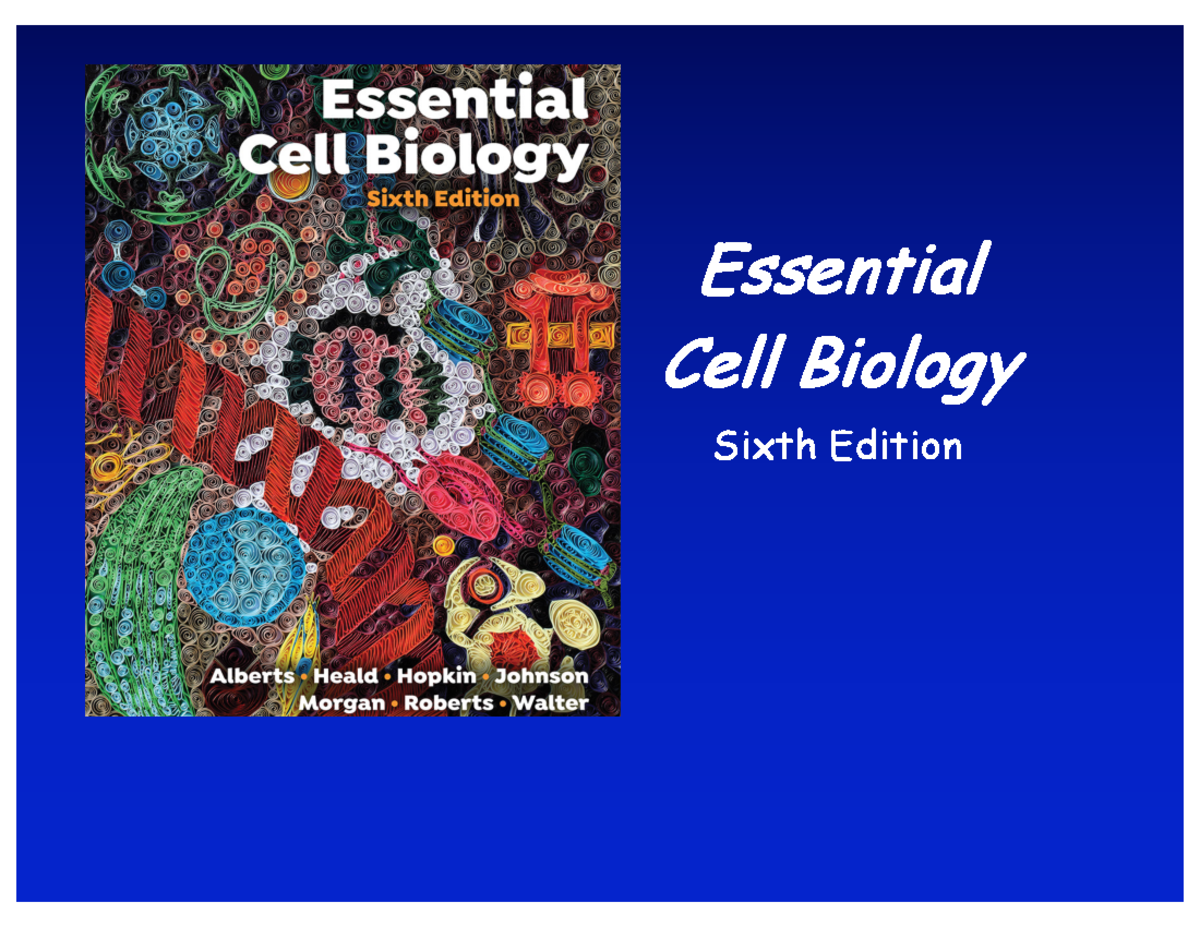 CELL BIOLOGY CHAPTERS 1, 2, 4 - STUDY NOTES - Studocu