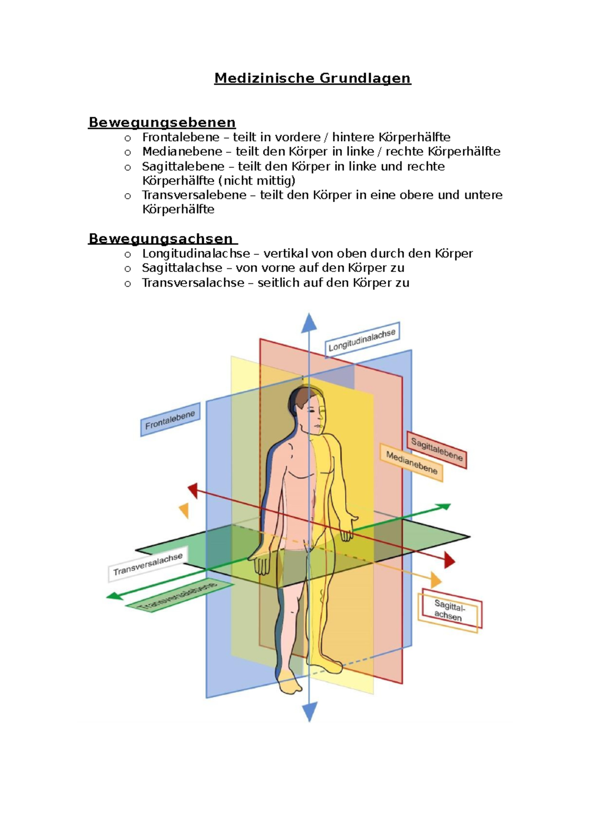 Medizinische Grundlagen - Medizinische Grundlagen Bewegungsebenen o ...