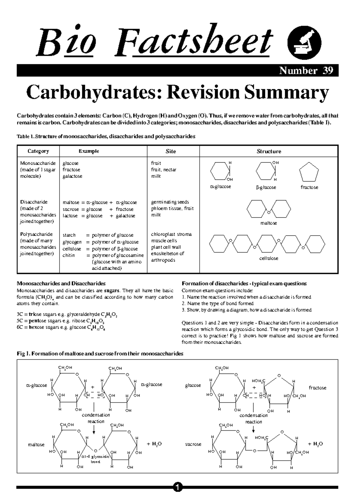 Bio Carbs FS - Biology Factsheet on Carbohydrates - Carbohydrates ...