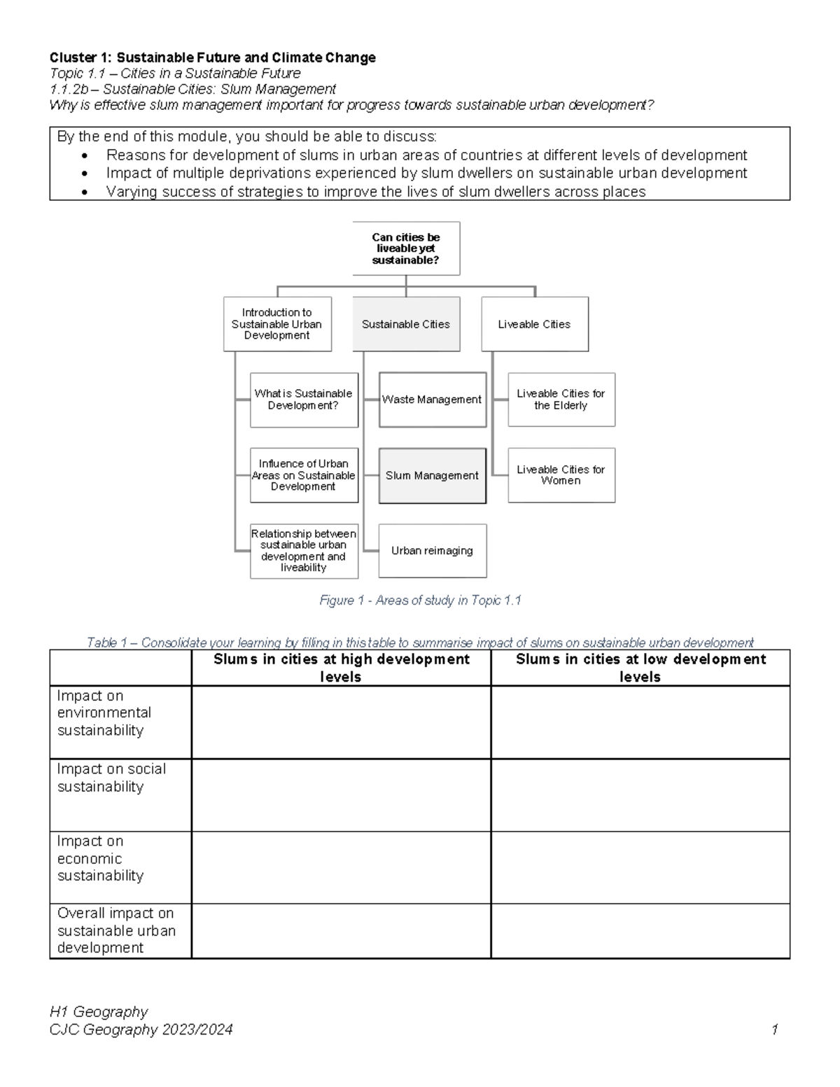 H1 Geography CJC Geography: Sustainable Cities & Slum Management ...