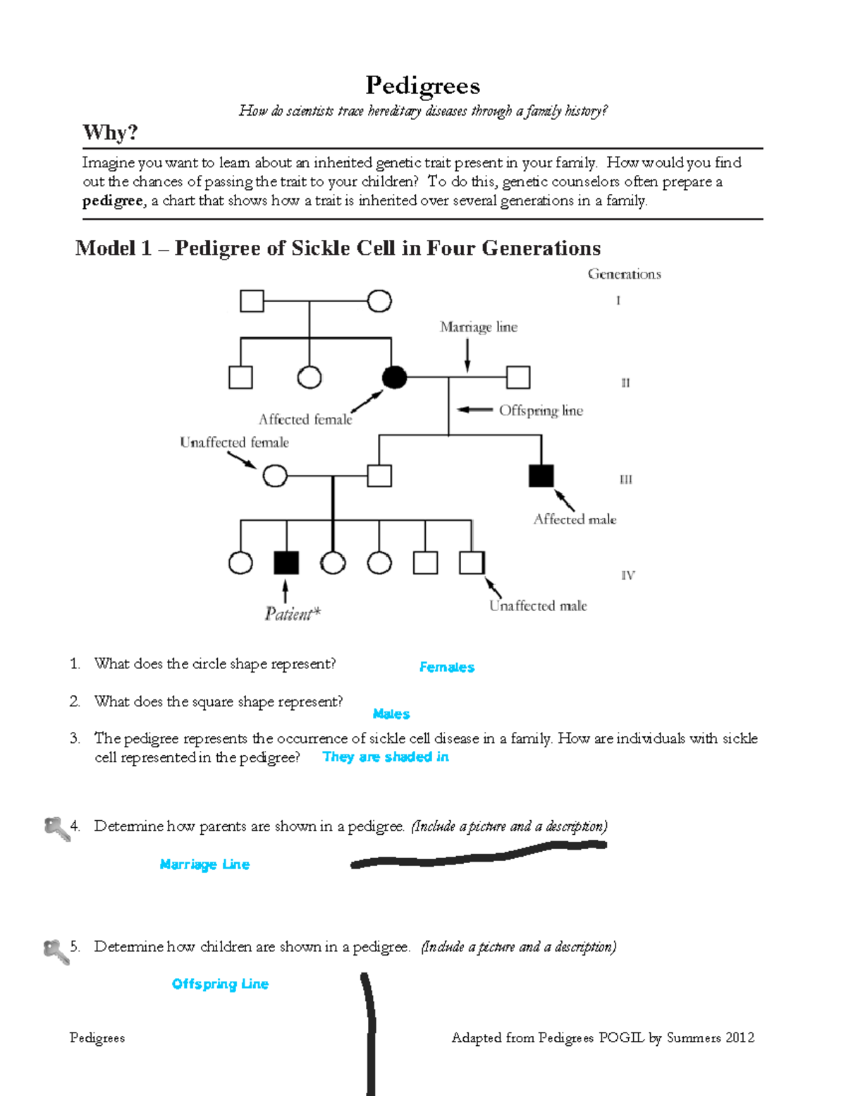 BIOL 101: Pedigree Analysis Activity on Genetic Traits and Inheritance ...