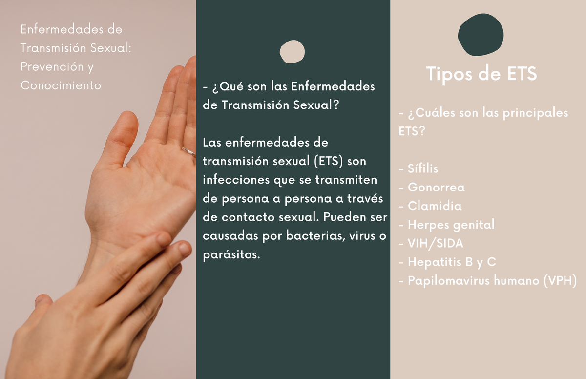 ETS E ITS tipos, concepto, síntomas - Enfermedades de Transmisión ...