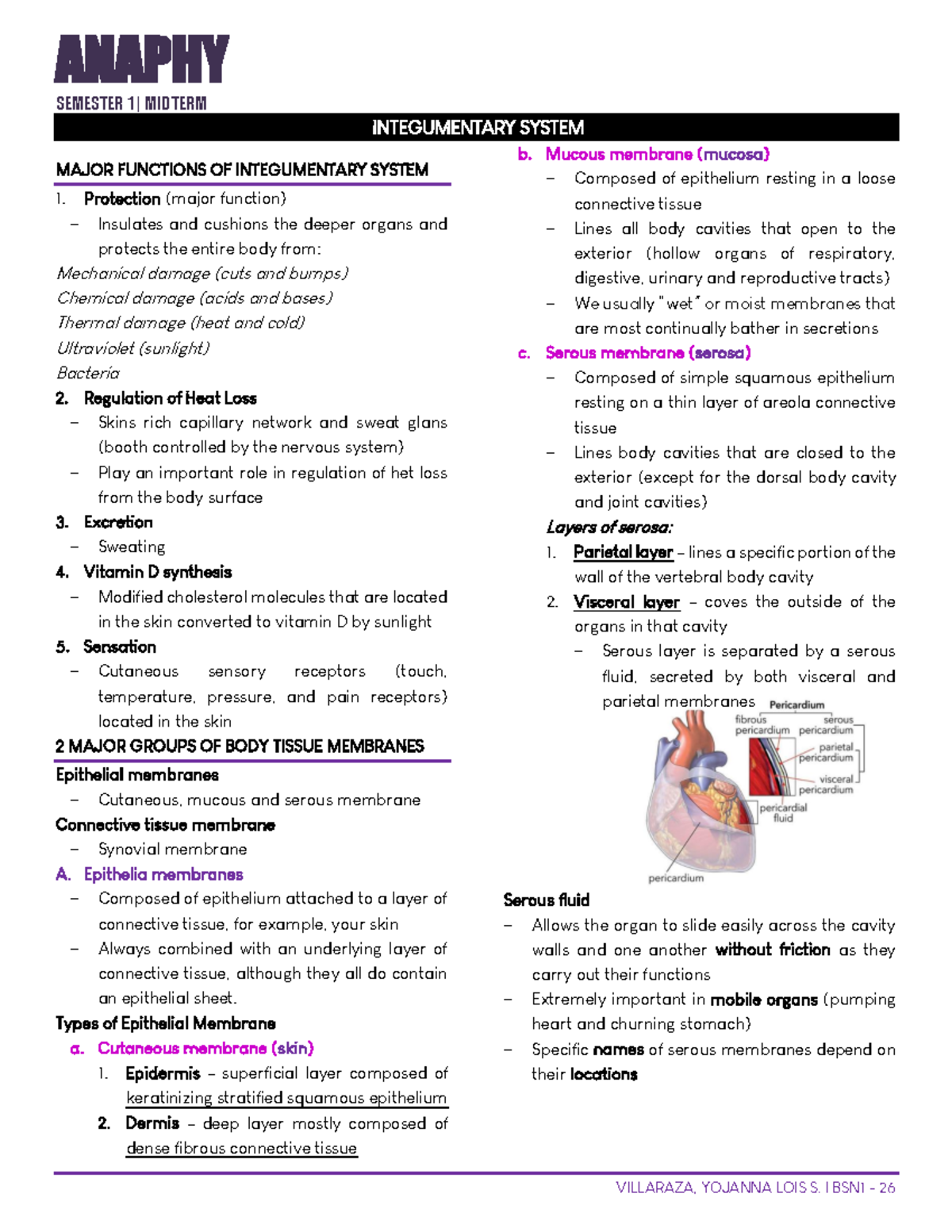 ANAPHY 1 SEMESTER MIDTERM: INTEGUMENTARY SYSTEM FUNCTIONS AND STRUCTURE ...
