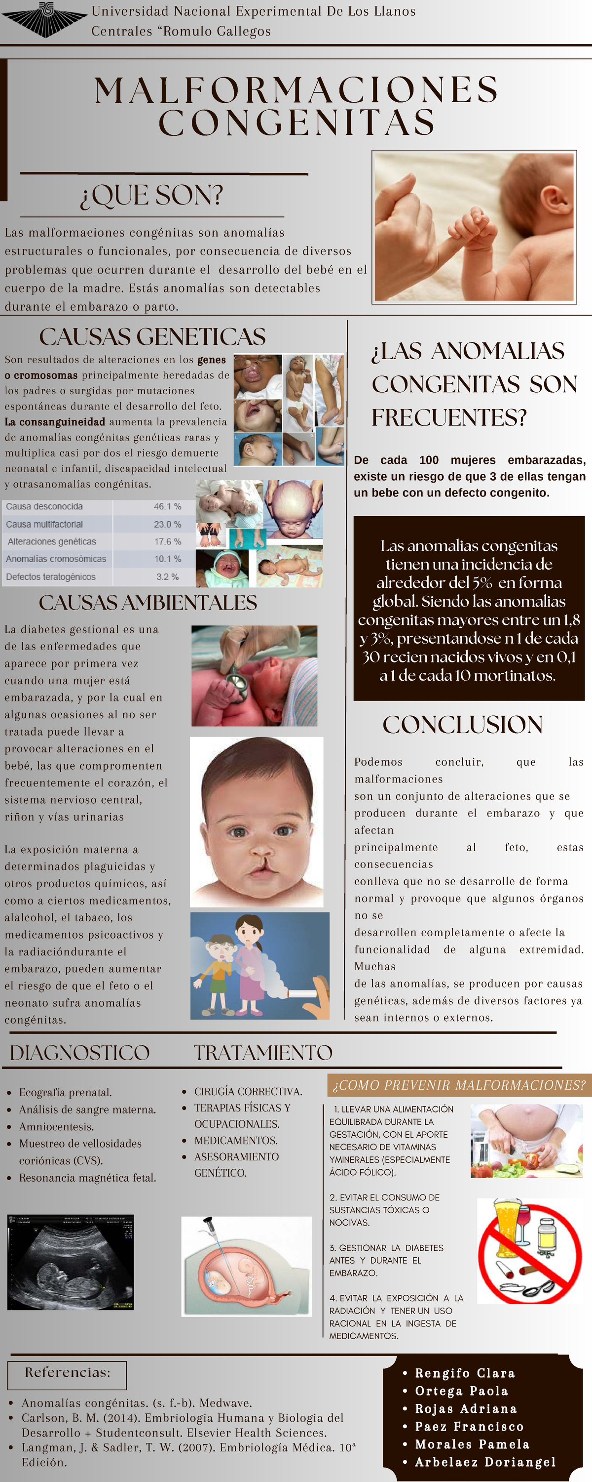 Infografía sobre Malformaciones Congénitas y sus Causas - Studocu