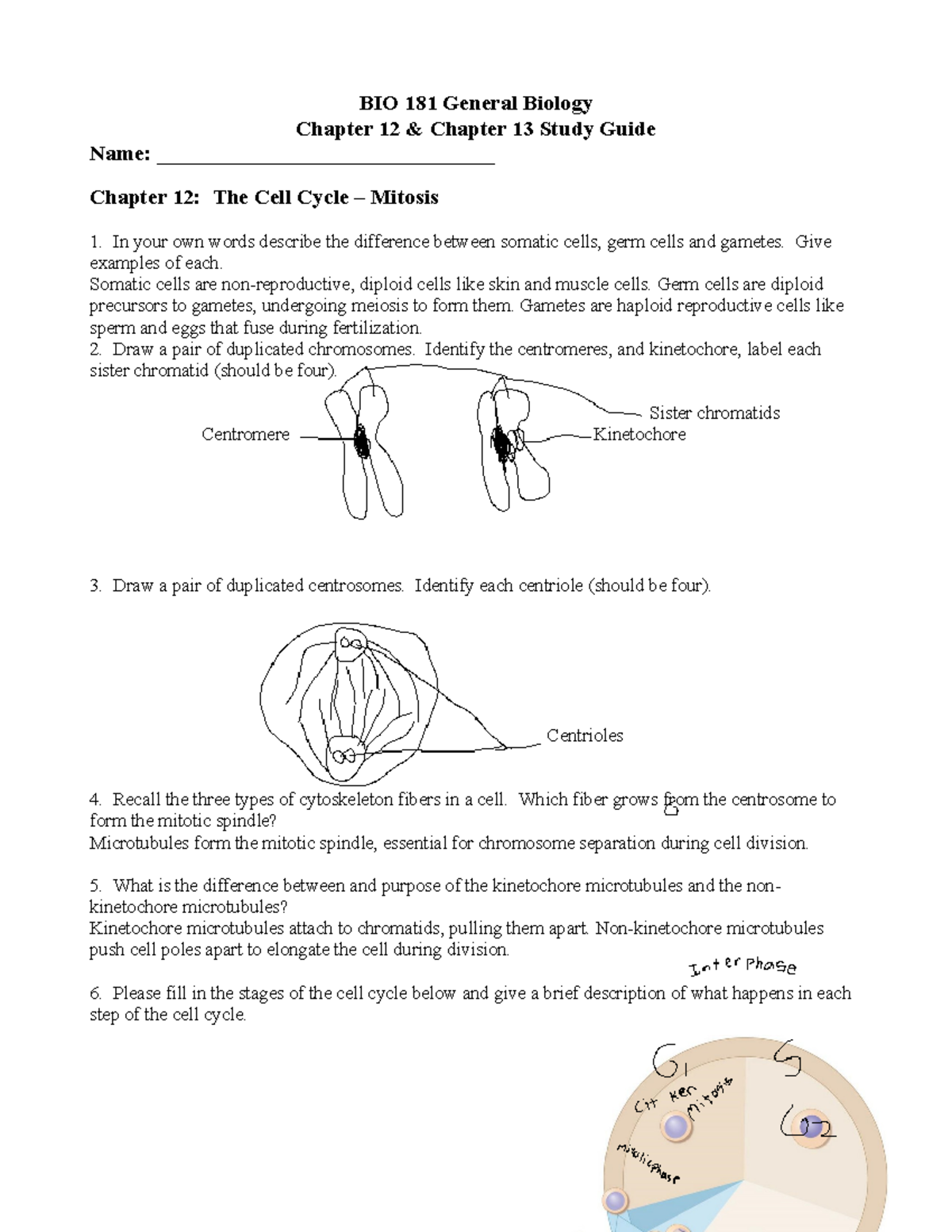 Chapt 12 and 13 Study Guide F23 - BIO 181 General Biology Chapter 12 ...
