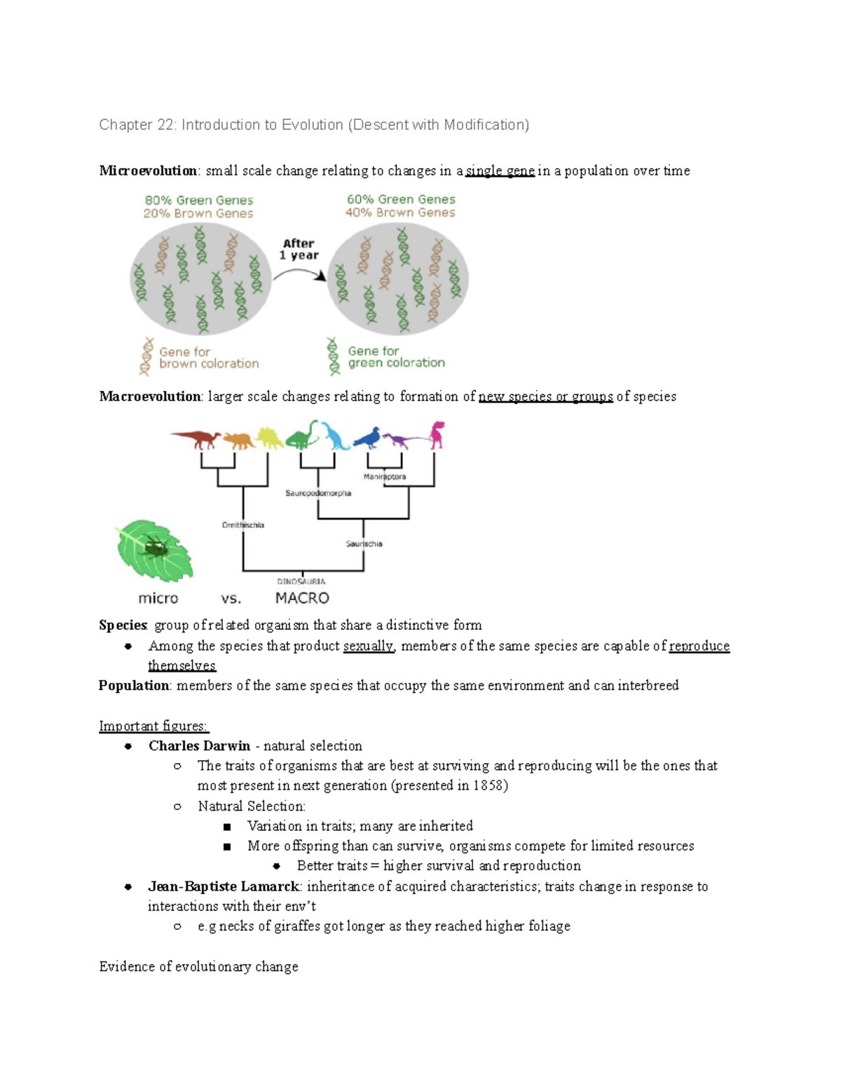 BSC2011 Final Exam Review: Evolution & Speciation (Ch. 22-26) - Studocu