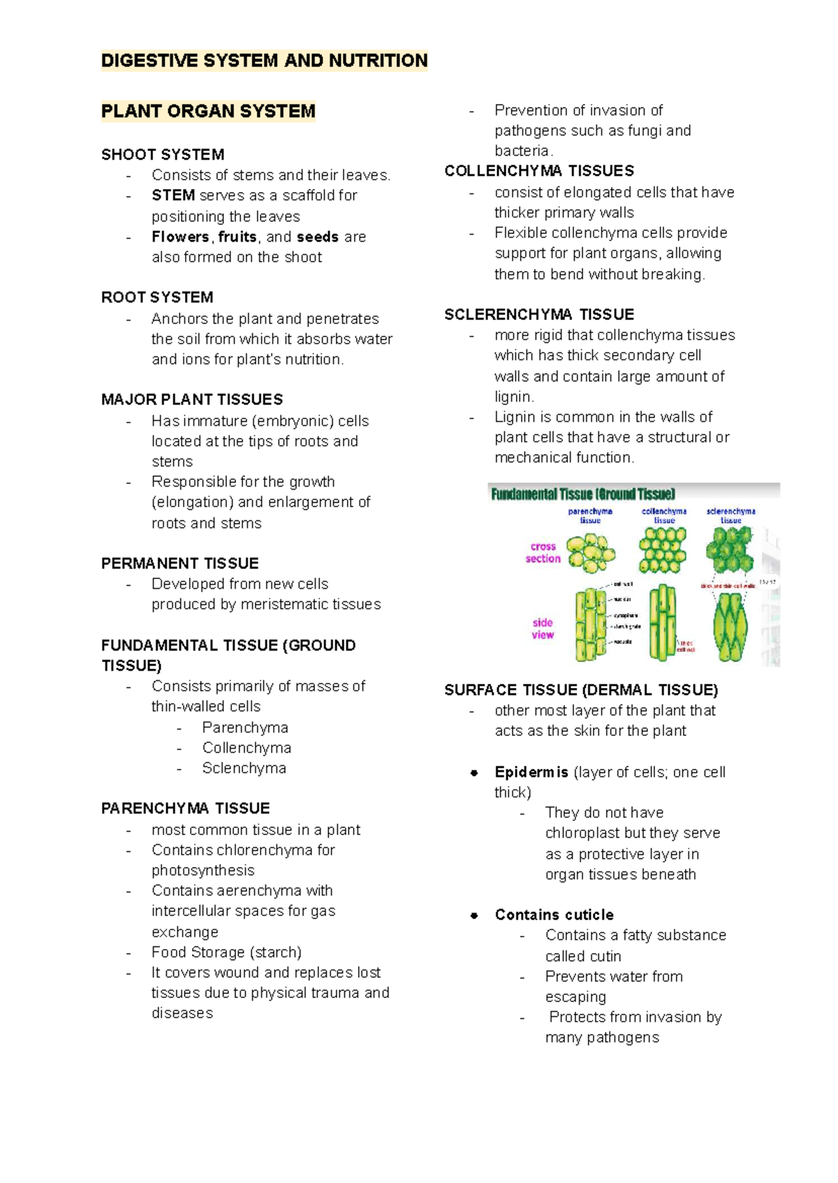 BIO 2 Reviewer: Digestive System & Plant Nutrition Overview - Studocu