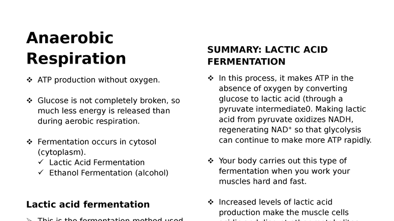 Fermentation Processes in Biology: Anaerobic Respiration & ATP ...