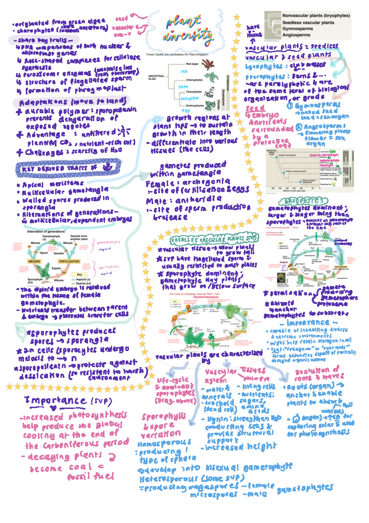 Plant Diversity Notes - Hope this helps ! - originated from green algae ...