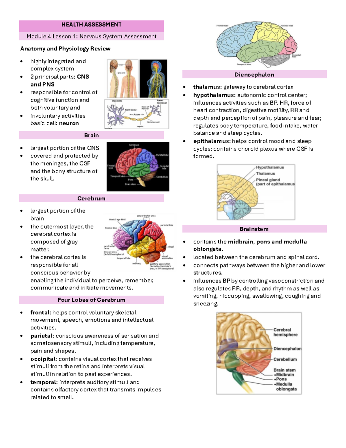 HEALTH ASSESSMENT Module 4: Nervous System Anatomy & Physiology Review ...