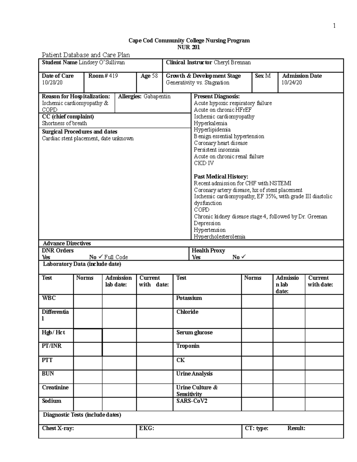 Careplan #2 - care plan - Cape Cod Community College Nursing Program ...