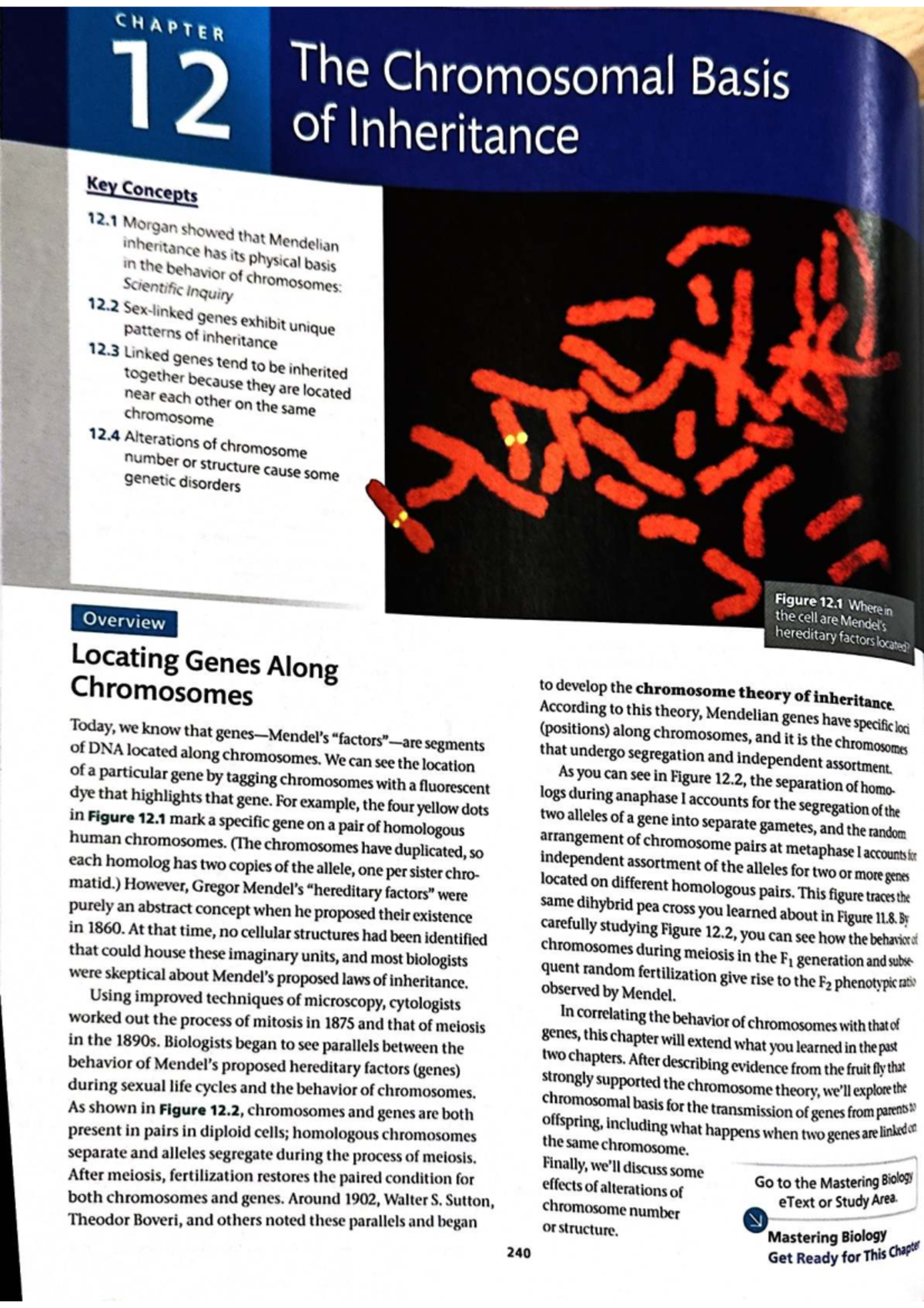 Chapter 12: The Chromosomal Basis of Inheritance - Key Concepts and ...