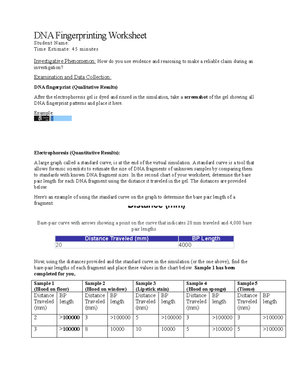 DNA Fingerprinting Worksheet: Analyzing Evidence and Results - Studocu