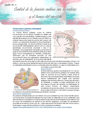 Resumen capitulo 55 - Funciones motoras de la médula espinal - Guyton y Hall. Compendio de - Studocu