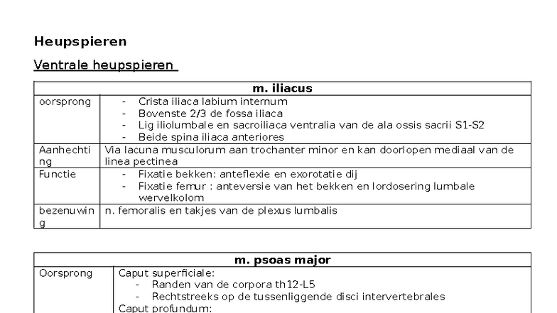 Spieren Onderlichaam: Anatomie en Functies van Heup- en ...