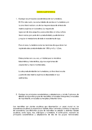 Tipos de picoo ormorniiiiii - Tipos de picos Según el largo de su pico ...