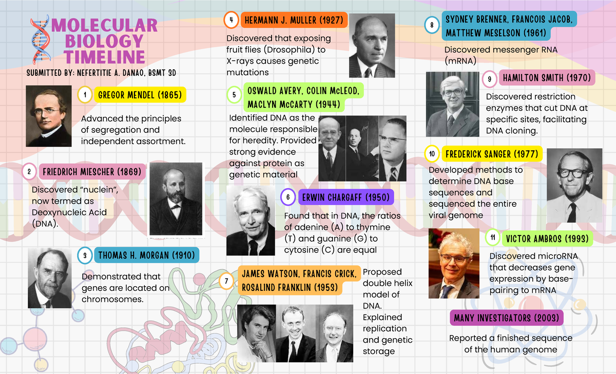 Molecular Biology Timeline: Key Discoveries and Milestones - Studocu