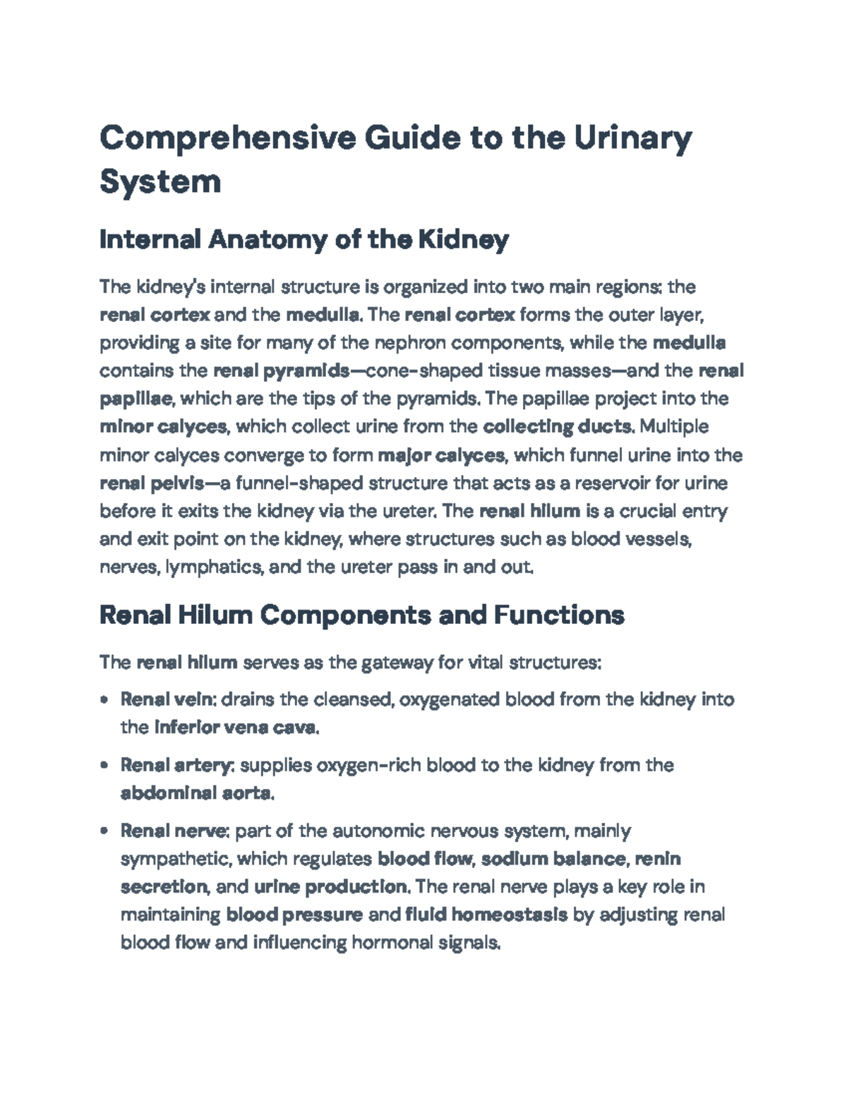 Comprehensive Guide to Kidney Anatomy & Urine Formation (BIO 101) - Studocu