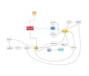 Concept map - CHM 130 - Asexual Reproduction Cell Cycle Interphase ...