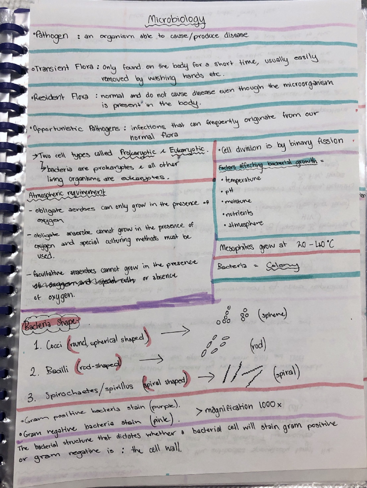Microbiology Lecture Notes: Key Concepts and Insights - Studocu