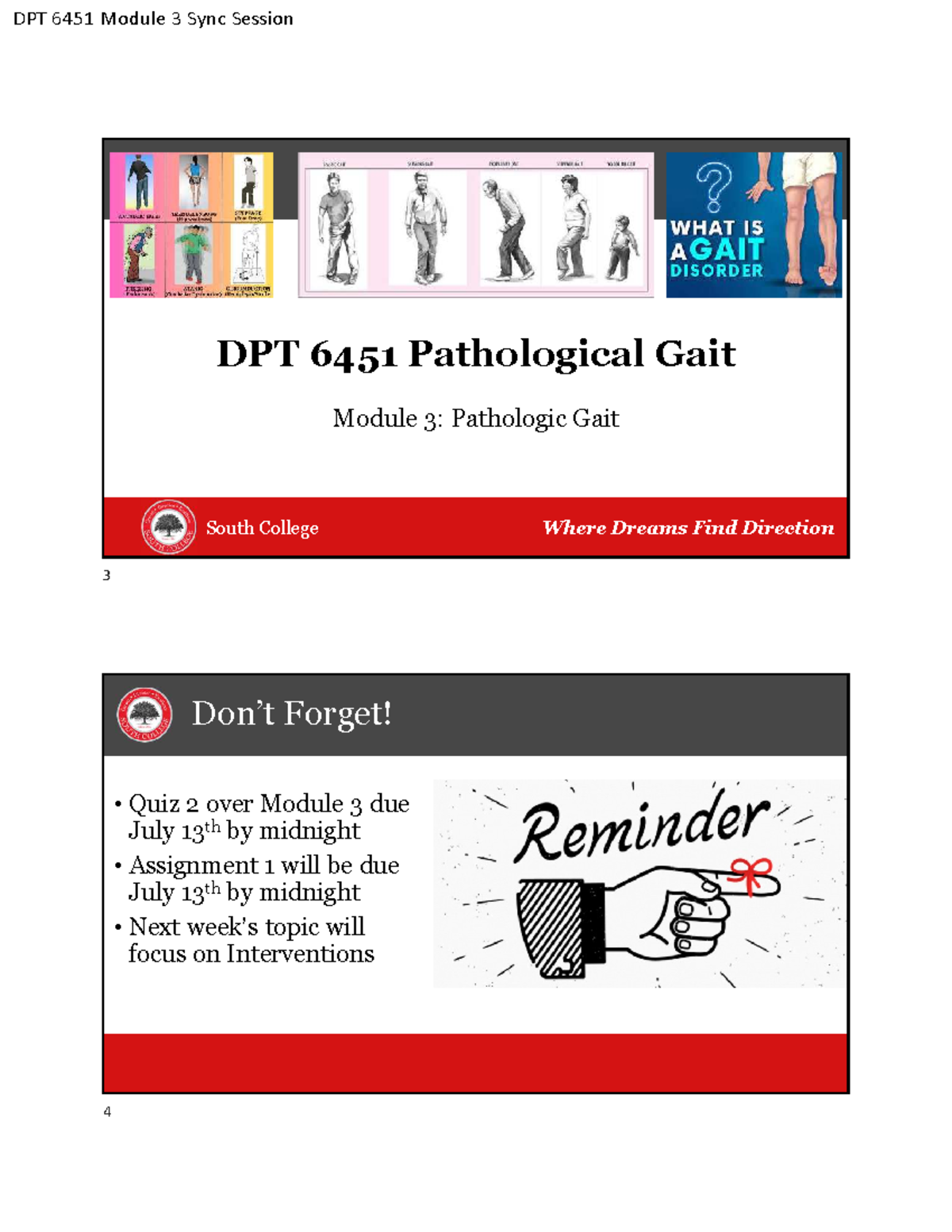DPT 6451 Module 3: Pathological Gait Analysis & Impairment Overview ...