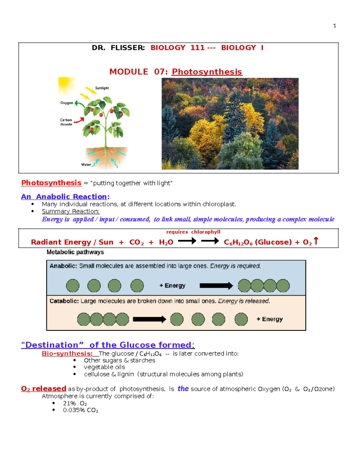 Biology 111 - Module 07: Comprehensive Overview of Photosynthesis ...