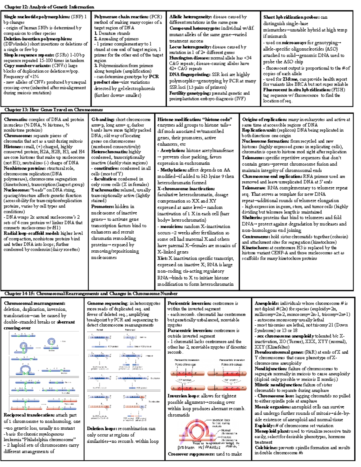 Exam 3 Cheat Sheet - chromosomes, gene regulation - Chapter 12 ...