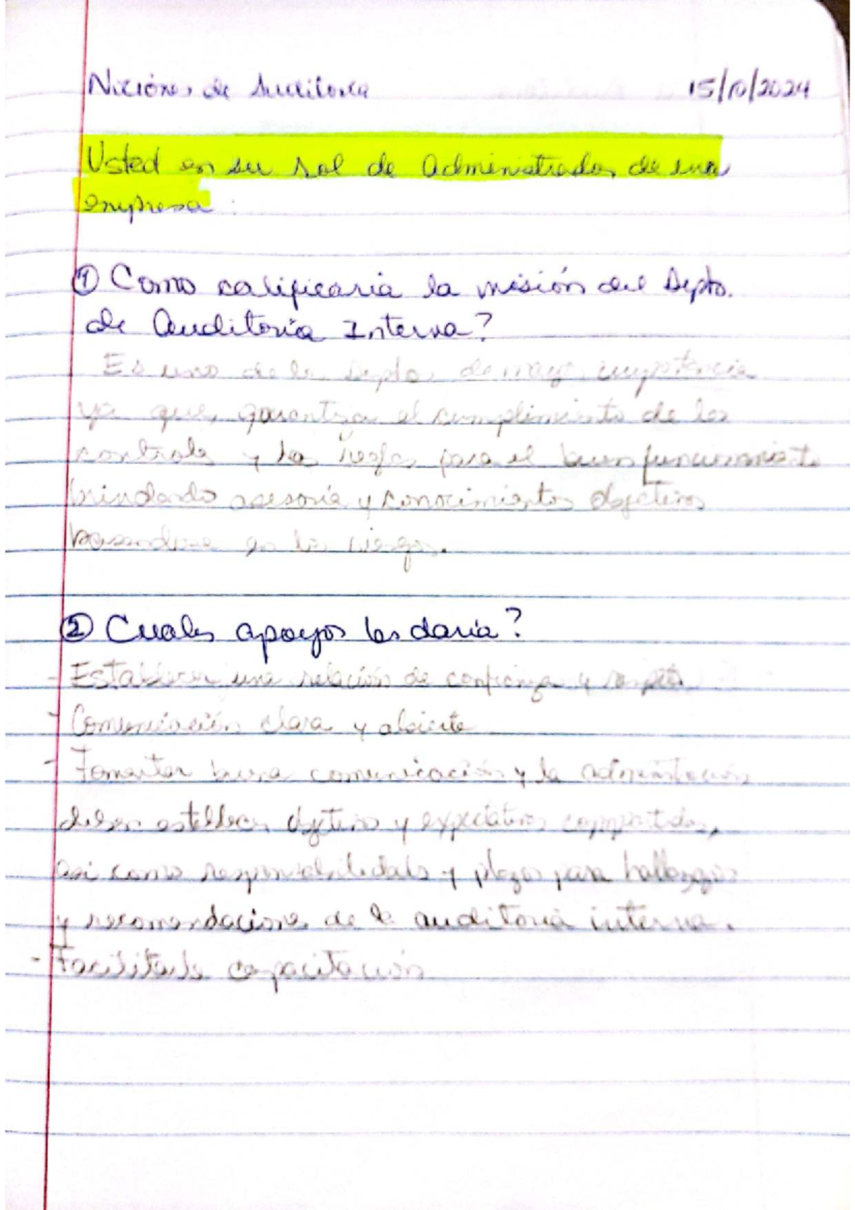 Práctica 5 Mi Rol de Afministrador de una empresa - Nicion, de Audilous ...