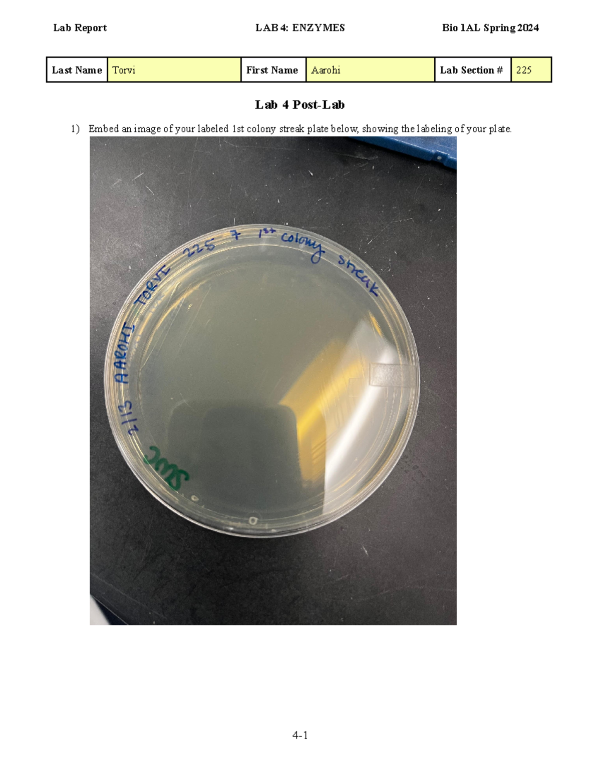 Lab 4: Enzyme Activity with IPTG Inhibition Report - Sp24 - Studocu