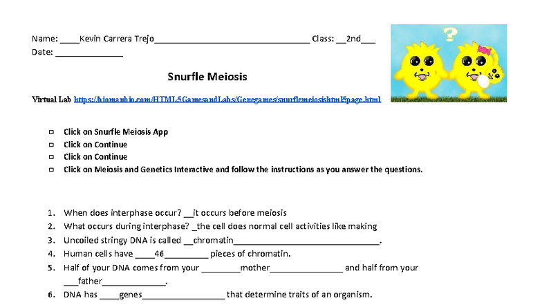 Snurfle Meiosis Virtual Lab WS: Understanding Meiosis Process - Studocu