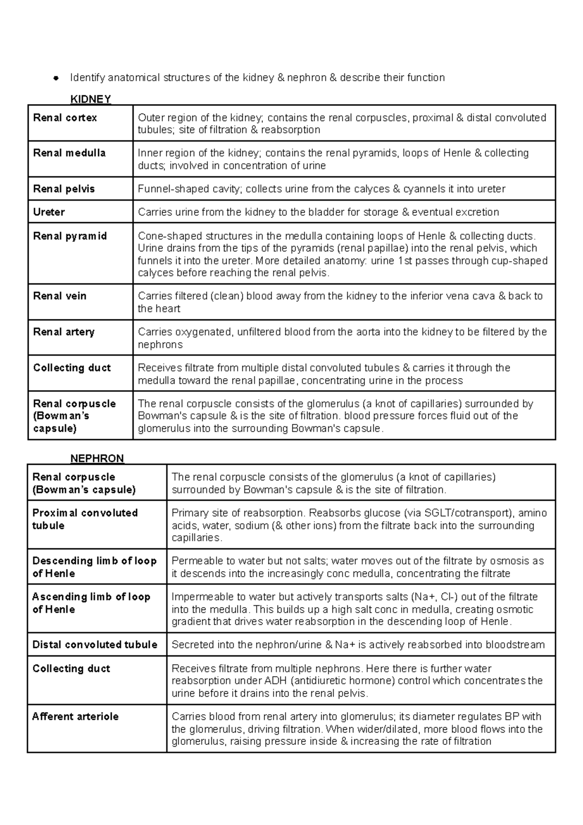 Human Bio Skills Test: Anatomy of Kidney Nephron & Related Systems ...