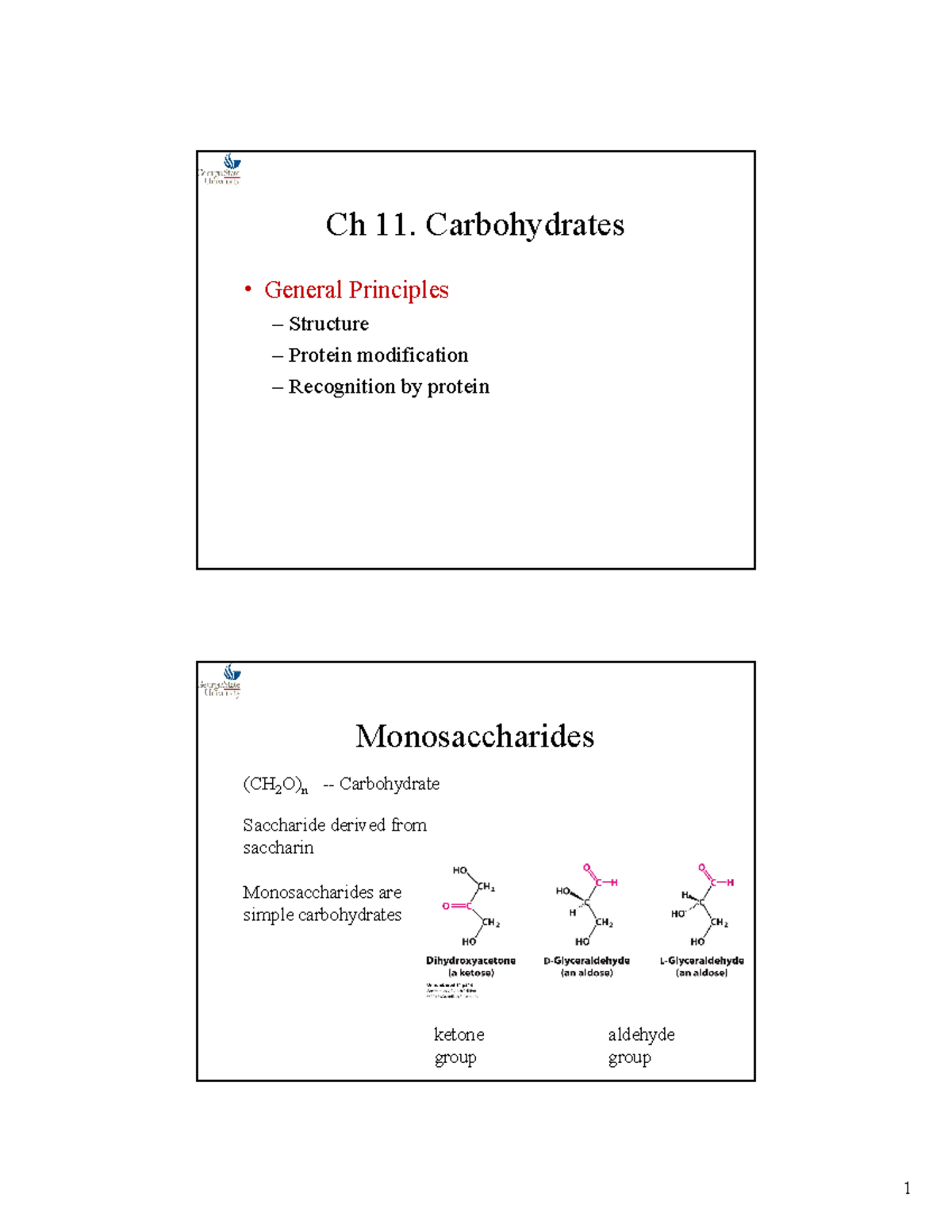Ch 11: Carbohydrates - Structures & Functions in Biochemistry - Studocu