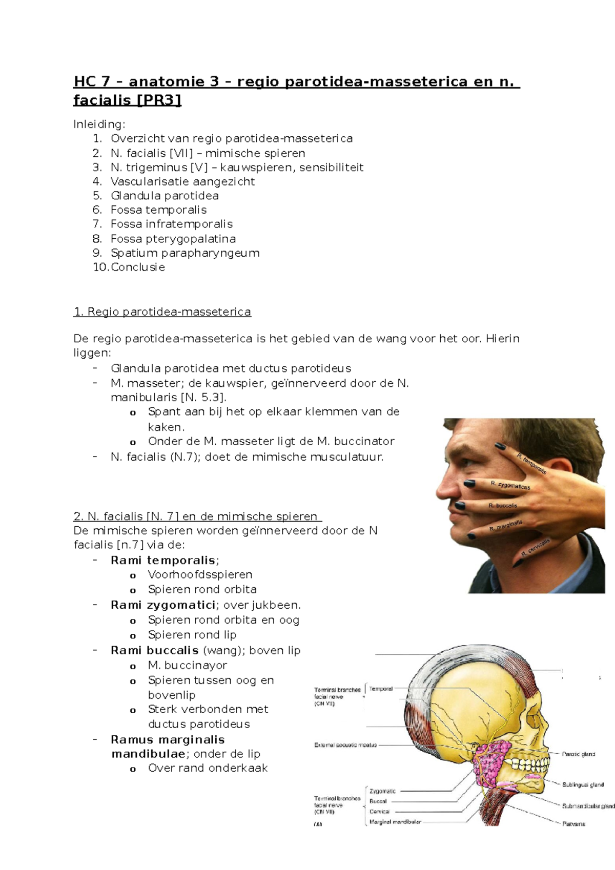 HC 7 – anatomie 3 – regio parotidea-masseterica en n. facialis [PR3 ...