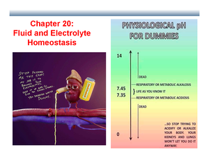 GFR & Nephron Function: A Comprehensive Overview for NEPH 101 - Studocu