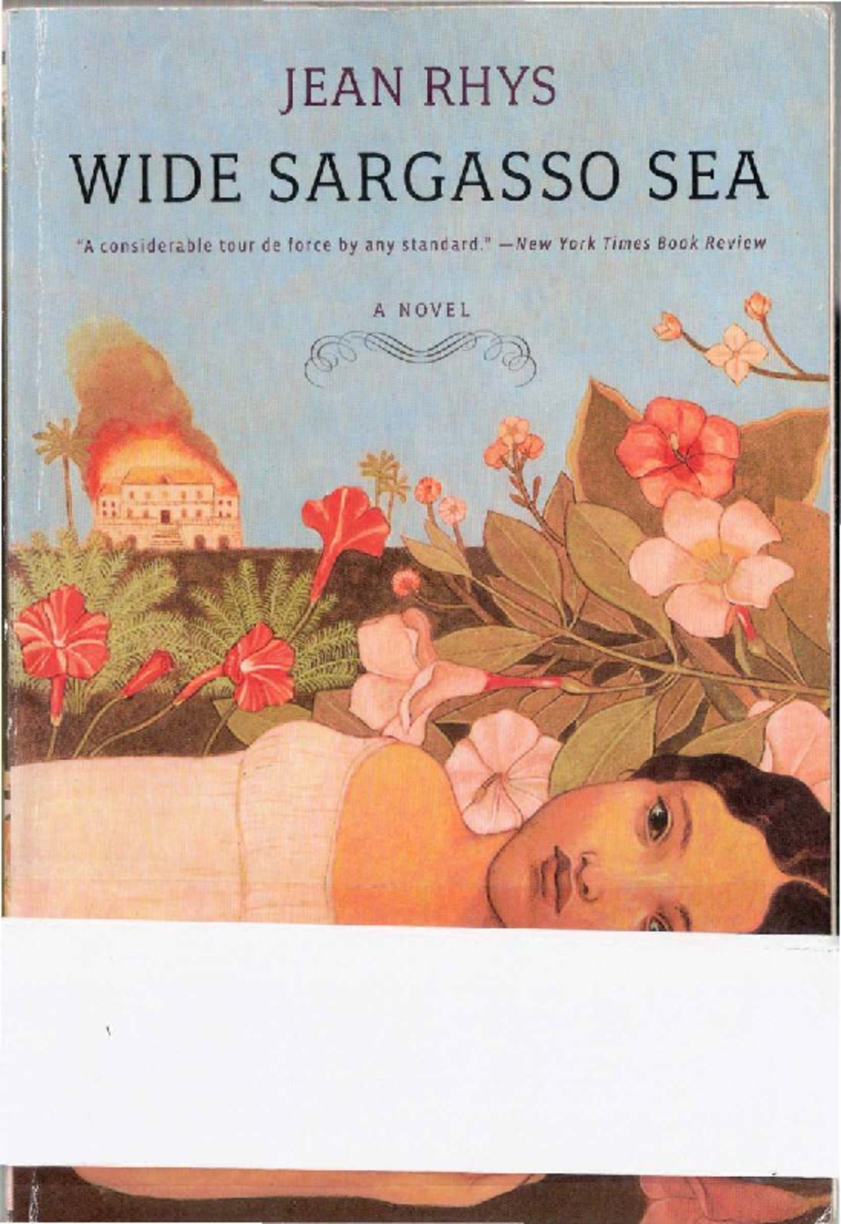 JEAN RHYS WIDE SARGASSO SEA: A Critical Analysis of Themes and ...